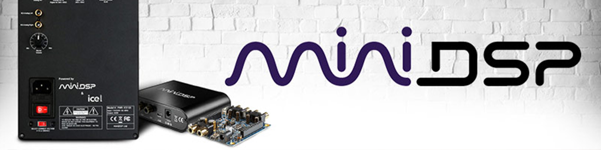 Shopping for DSP Module Kits? - SoundImports